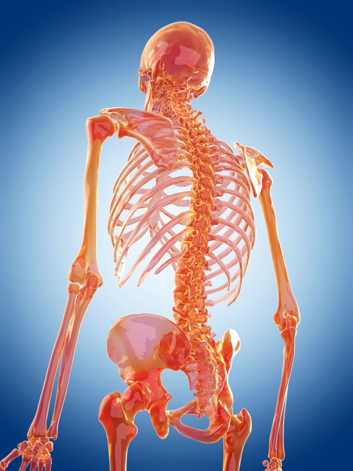 The Truth About Your Spine Diagnosis The Truth About Your Spine Diagnosis