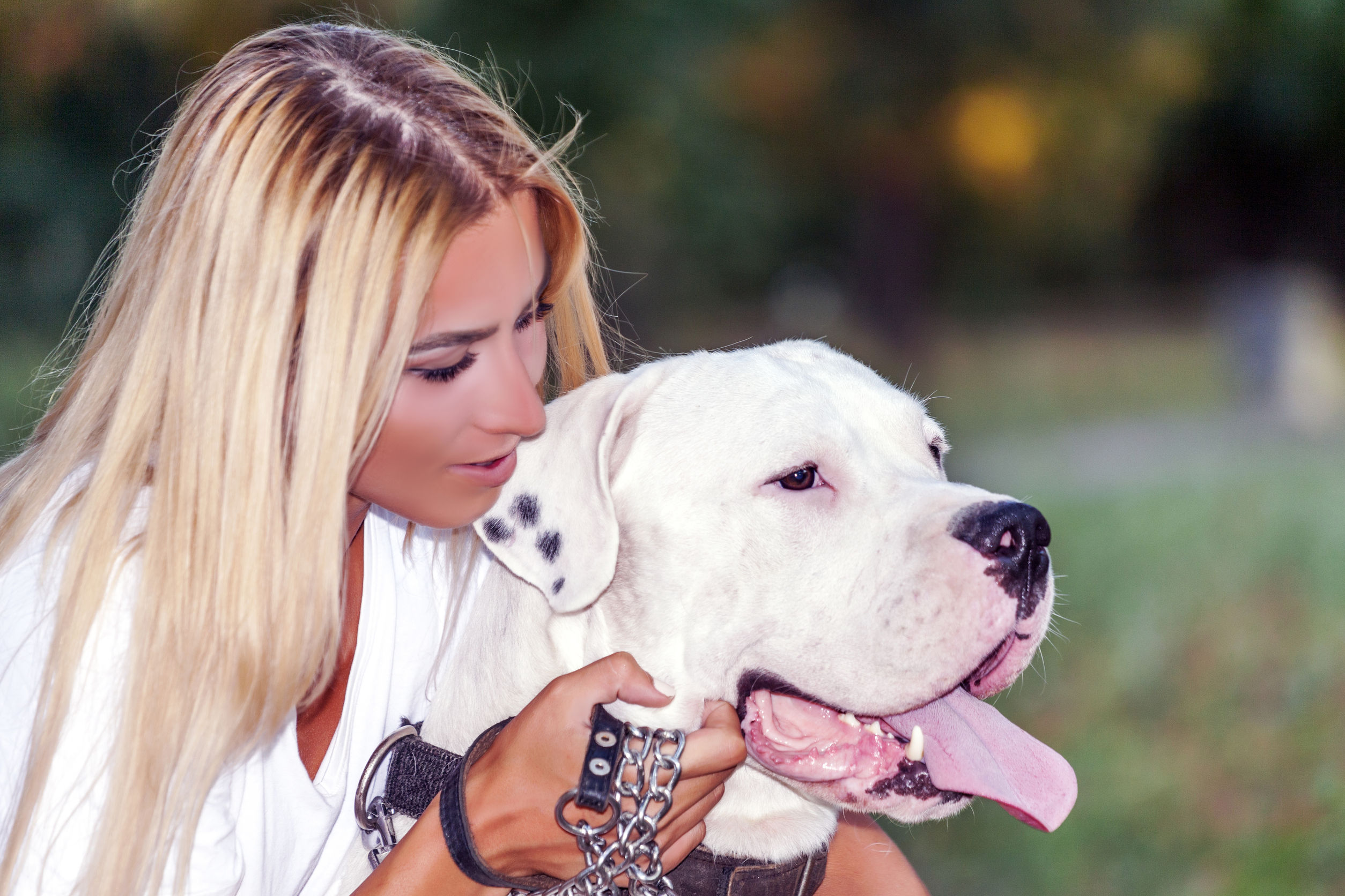 Estate Planning for Your Pet